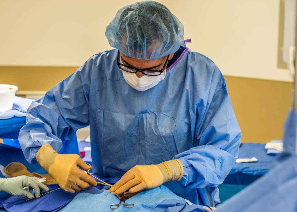 Dr. Sternberg is the best possible doctor you can find! - The Sternberg ...